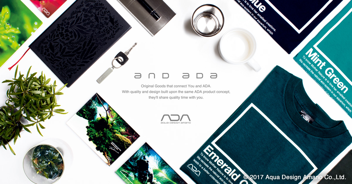 and ADA | Another ADA Style