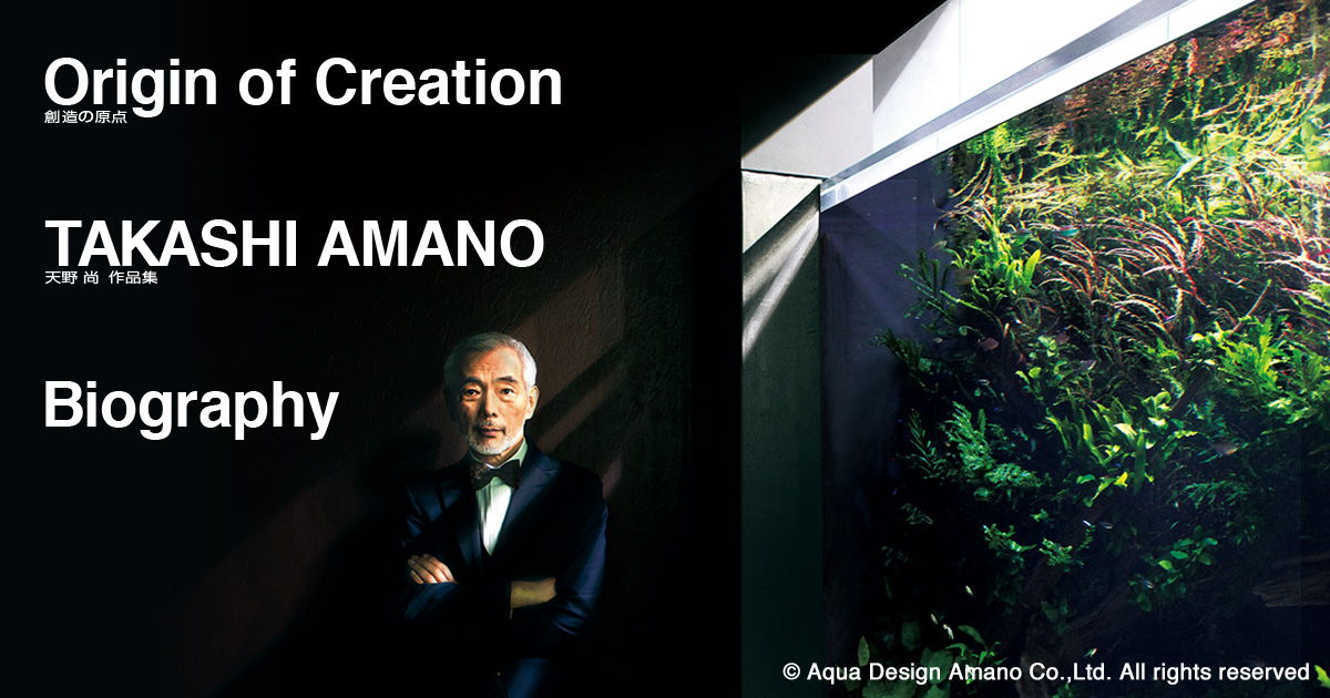 Origin of Creation | ADA - PRODUCT