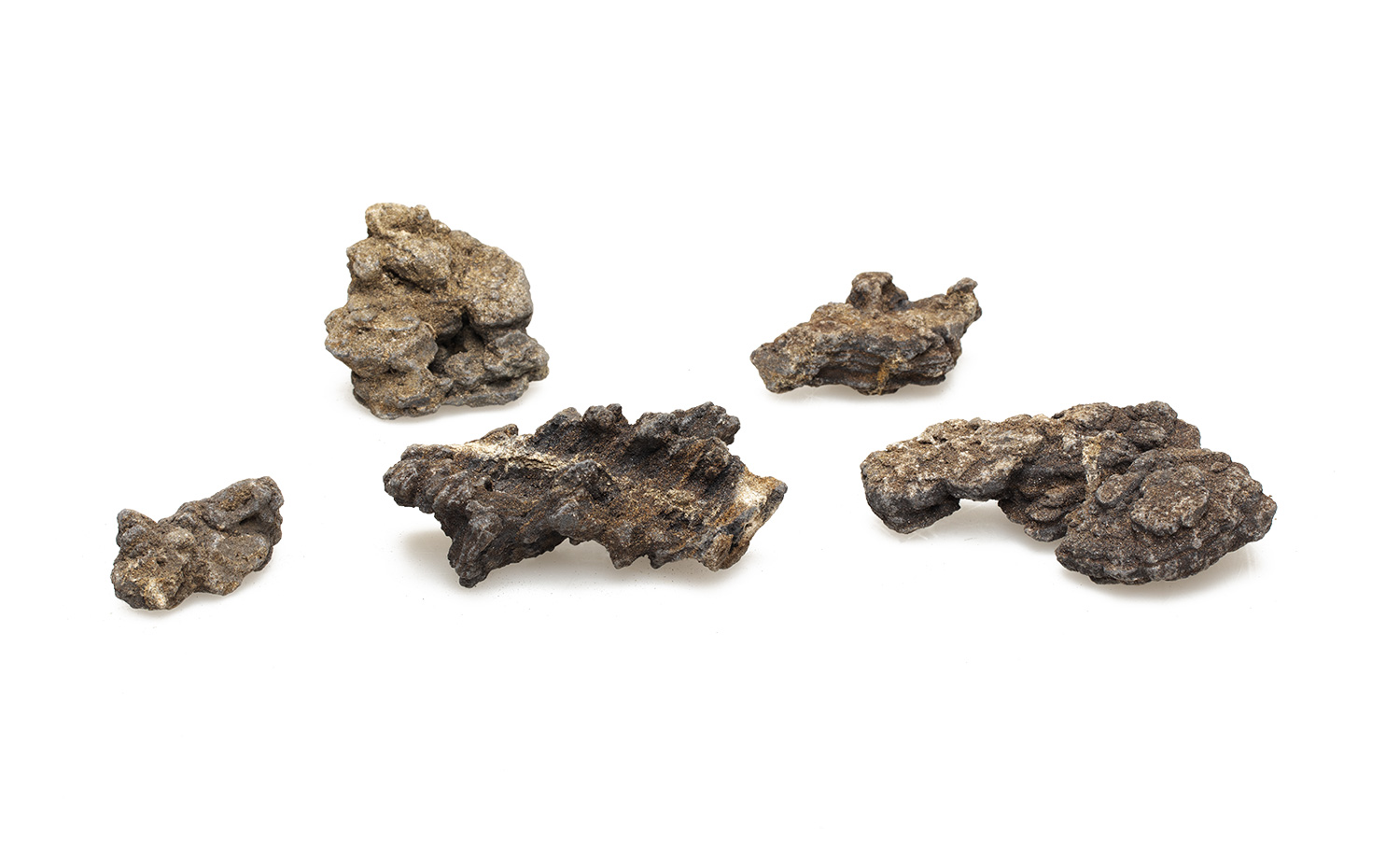 Launch of new ADA layout materials | ADA - NEWS RELEASE