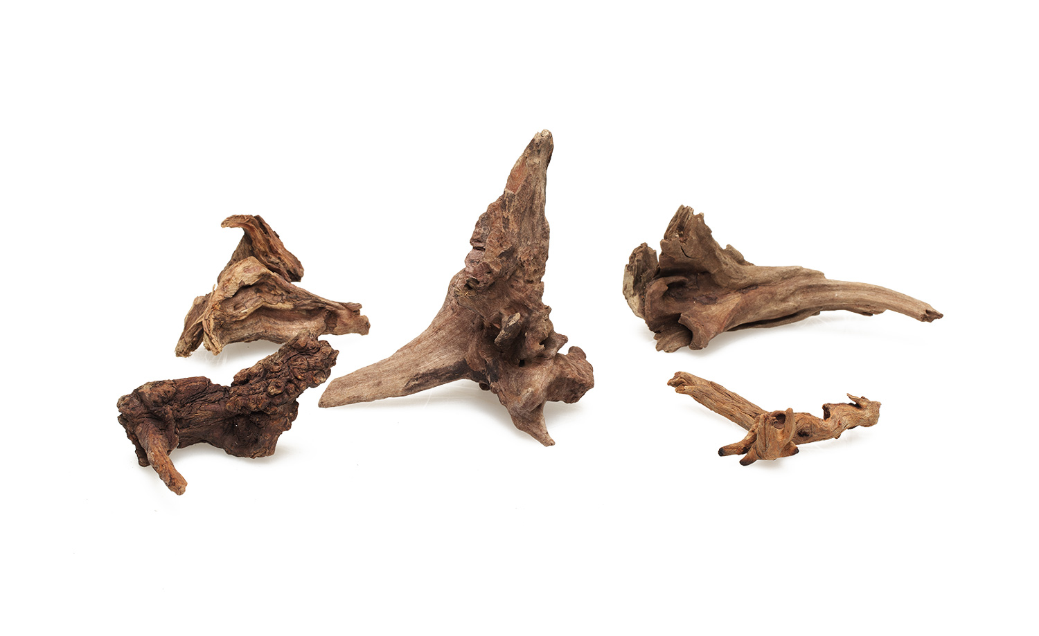 Launch of new ADA layout materials | ADA - NEWS RELEASE