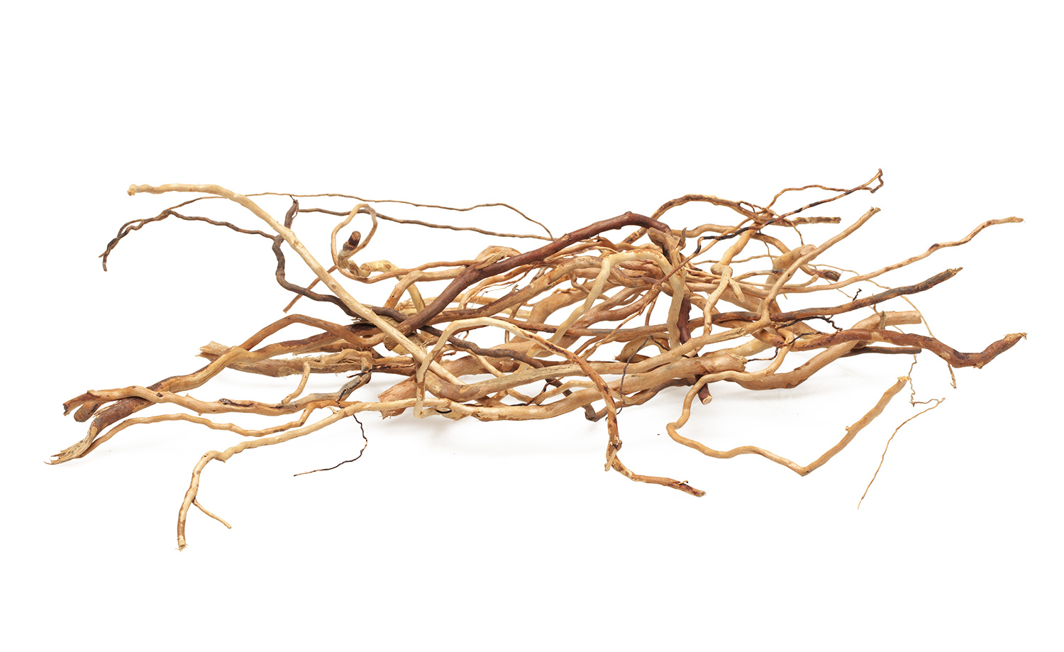 Launch of new ADA layout materials | ADA - NEWS RELEASE