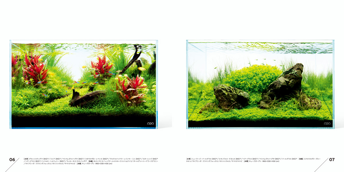 見て楽しむ作例集「Aquatic Plant Style Book」配布のお知らせ | ADA - NEWS RELEASE