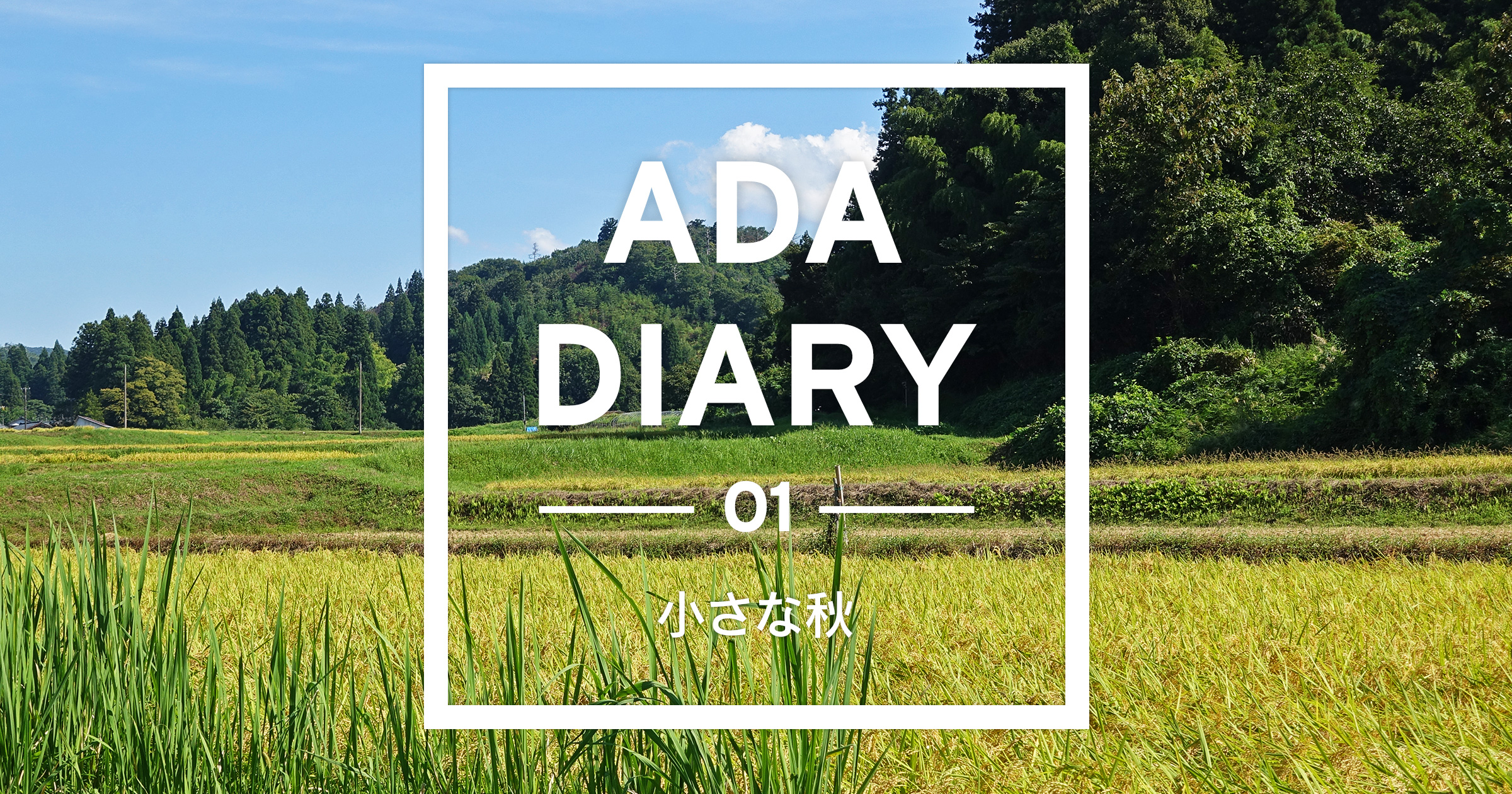 ADA DIARY「小さな秋」 | AQUA DESIGN AMANO