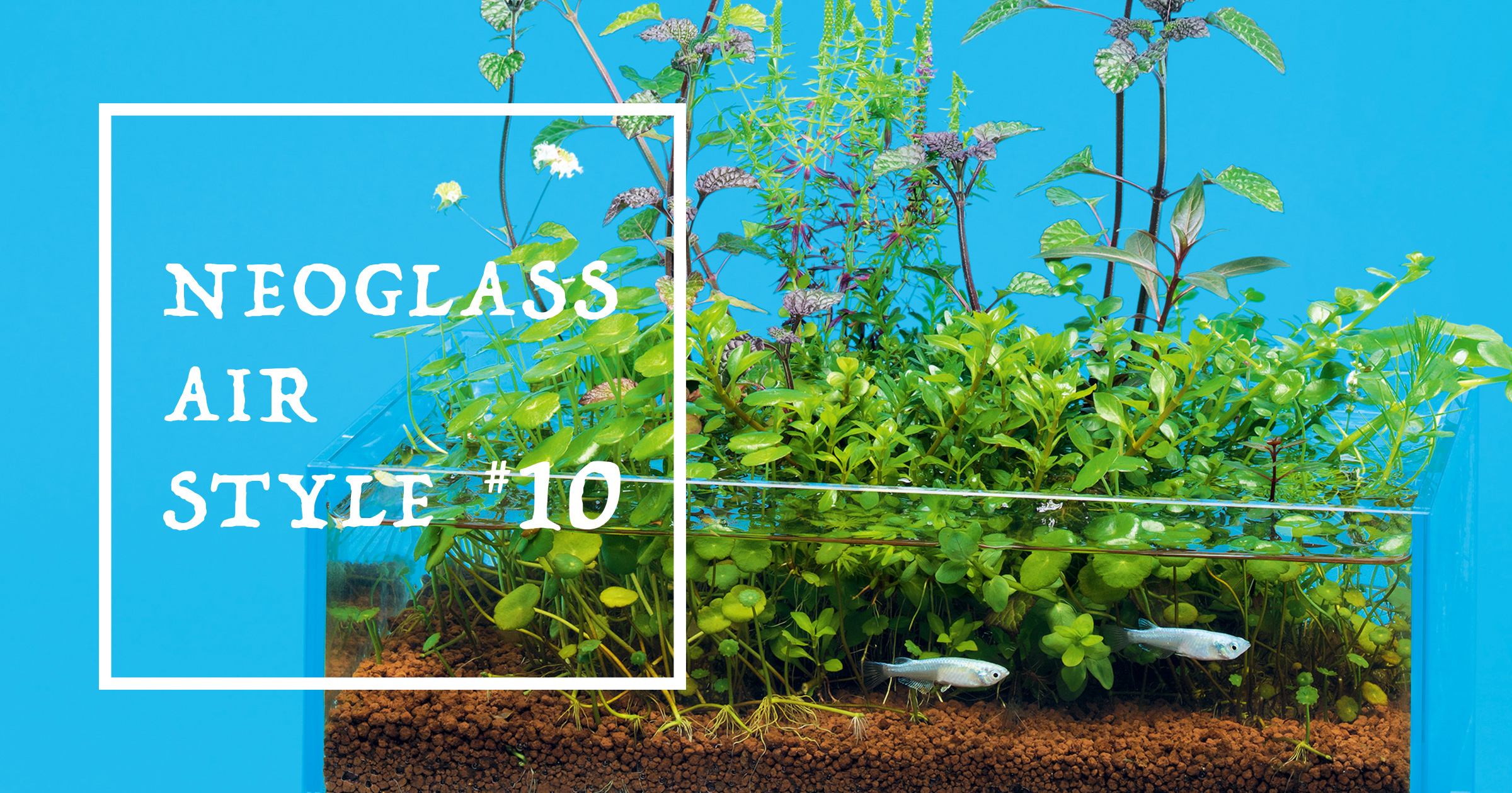 NEOGLASS AIR STYLE #10 Conservation of small waterside, 493㎠ | en