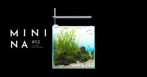 MINI NA_02 Born from clear water currents, the beauty of aquatic plants ...